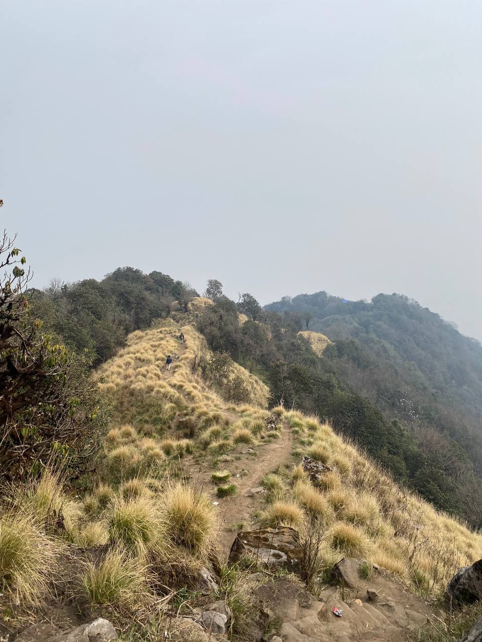 Khumai Danda Trek – A Brand New Trail Amidst the Himalayas – FromEverest